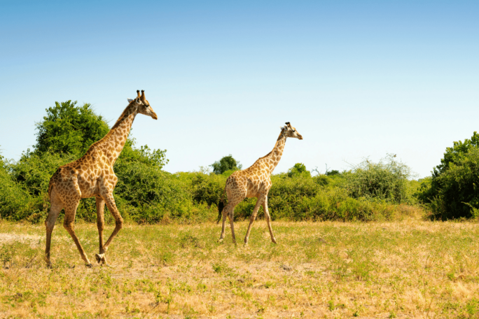 Urlaubswelten - Lufthansa City Center